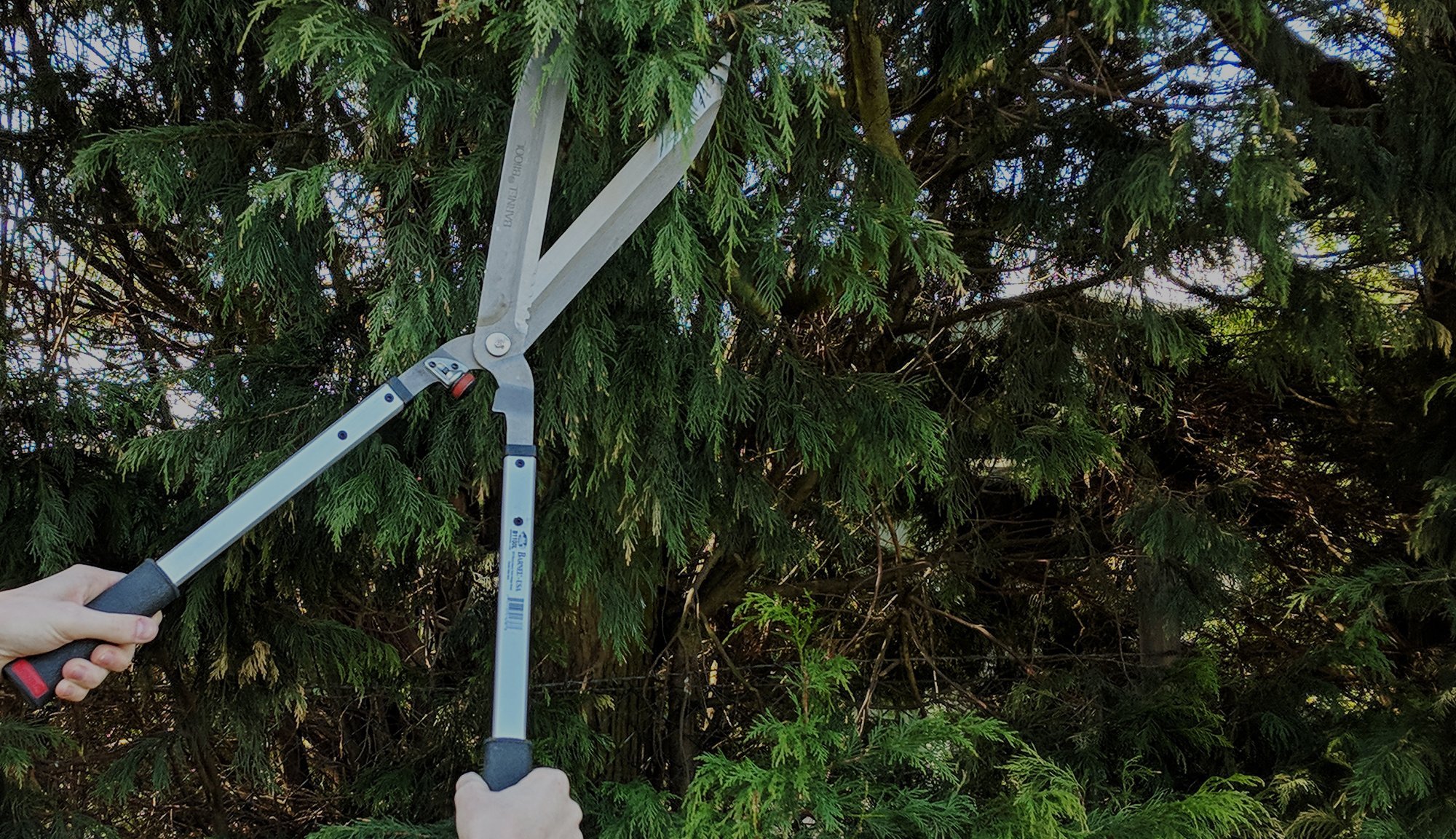 Home page [www.lovegardening.com]