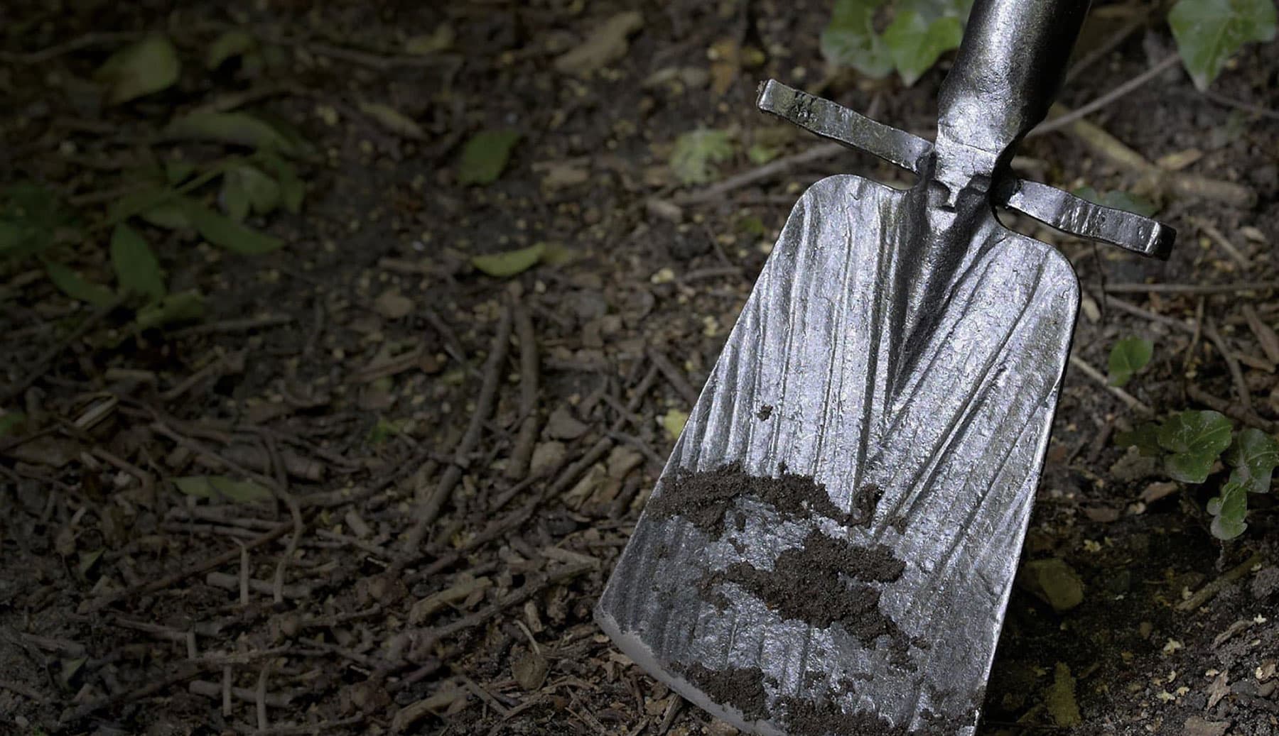 Love Gardening - High-Quality Horticultural Supplier