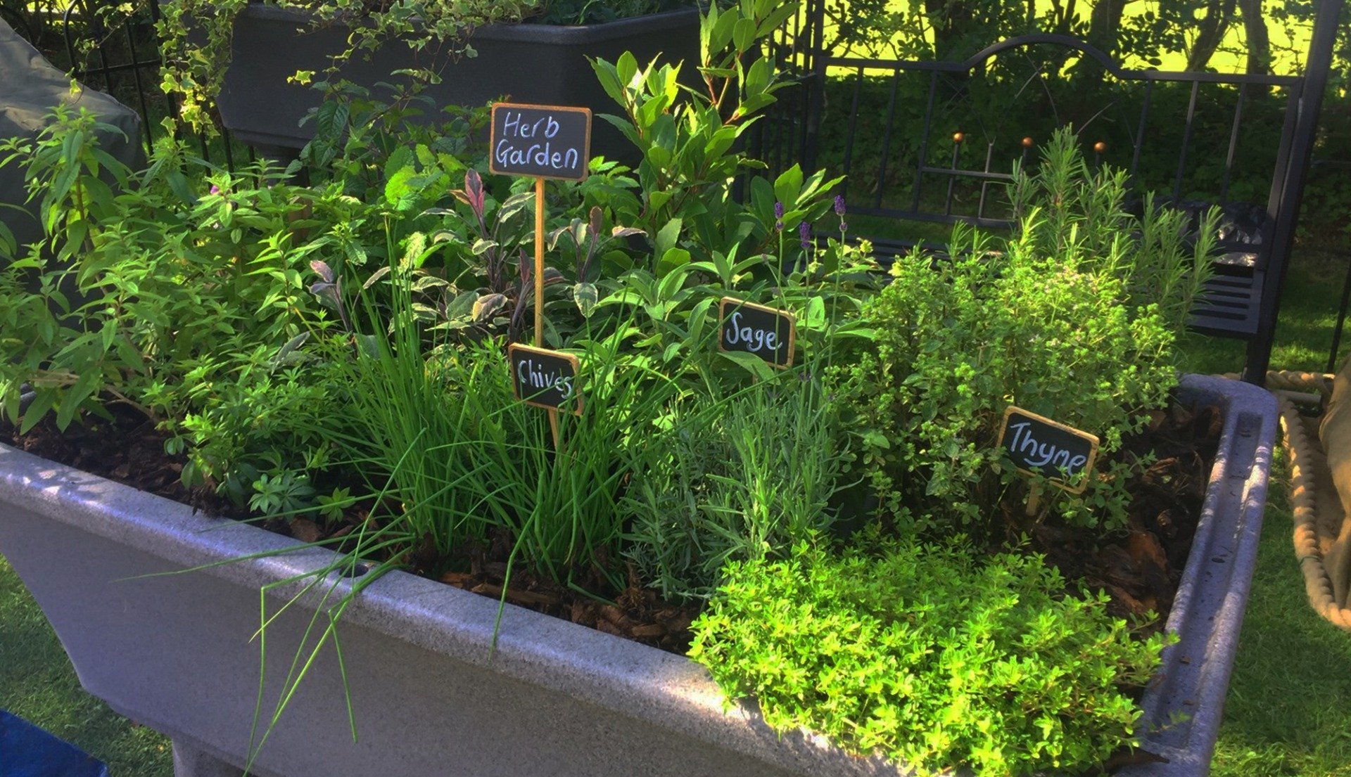 Love Gardening - High-Quality Horticultural Supplier